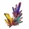 Rainbow Crystals and Stones-Meaning-Healing Properties-Names - Crystal ...