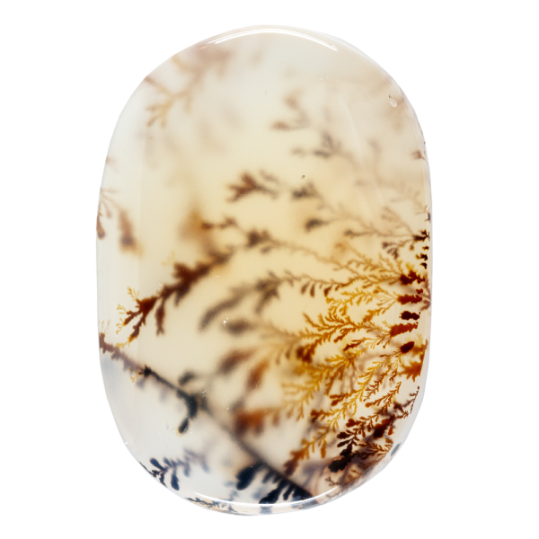 Dendritic Agate: Supreme Powers & Properties - Crystal Meanings and Shop
