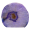 Purple Agate: Supreme Powers & Properties - Crystal Meanings and Shop
